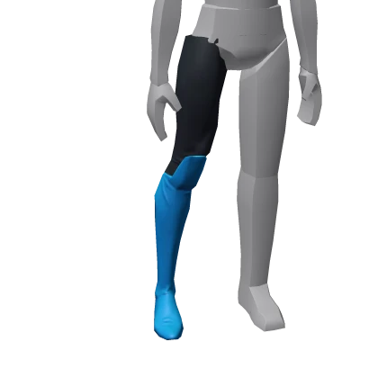 Invincible - Right Leg | Roblox Item - Rolimon's