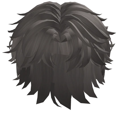 💯 Grey | Roblox Item - Rolimon's