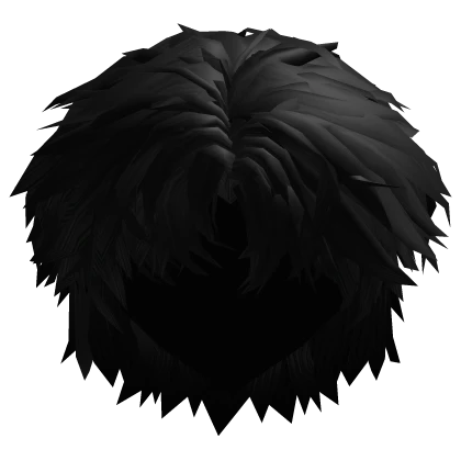 Seong Gi Hun Player 456 S1 Black Messy Anime Hair | Roblox Item - Rolimon's