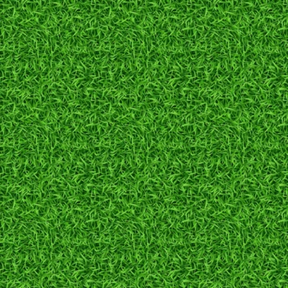 Grass Texture in 4k
