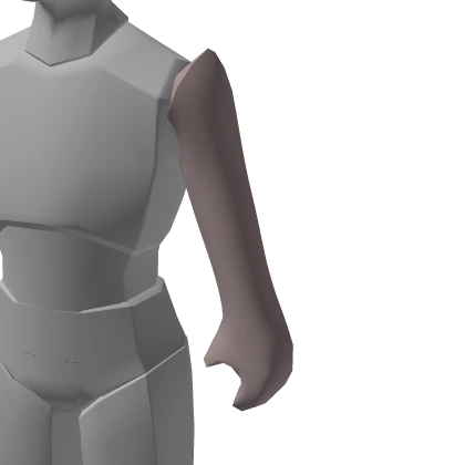 Bundl Good - Left Arm | Roblox Item - Rolimon's