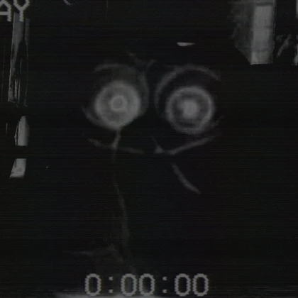 VHS Sand