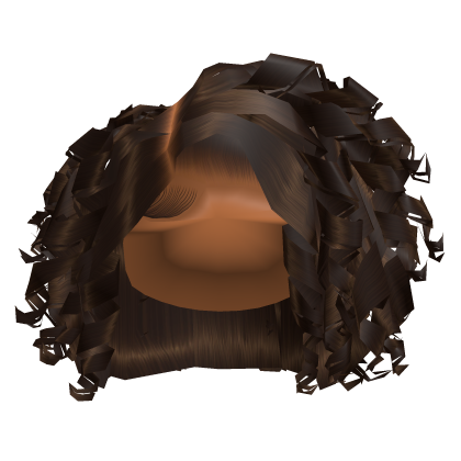 Dark Brown Side Part Curly Afro - Roblox