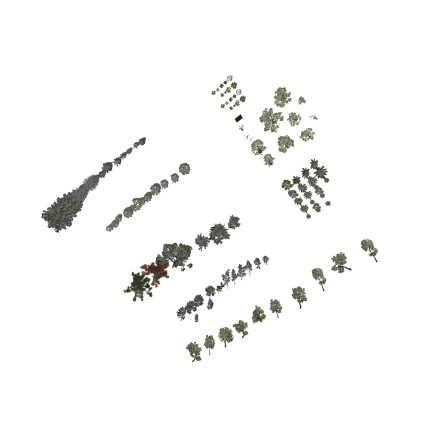 Asset Preview