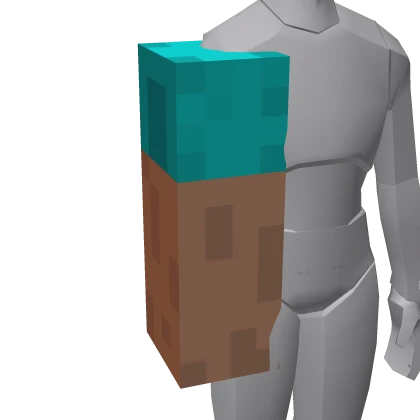 Steve Bundle - Right Arm | Roblox Item - Rolimon's