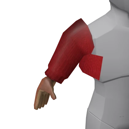 V02_autosetup - Right Arm | Roblox Item - Rolimon's