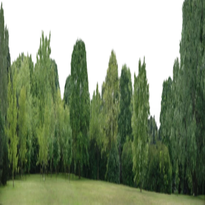 Tree Line Background