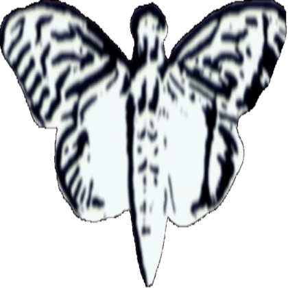 cicada