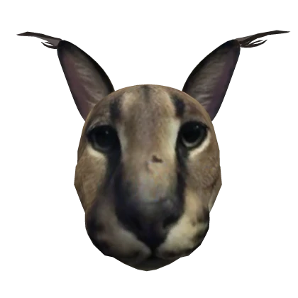 Floppa | Roblox Item - Rolimon's