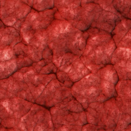 Flesh Texture