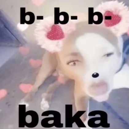 baka