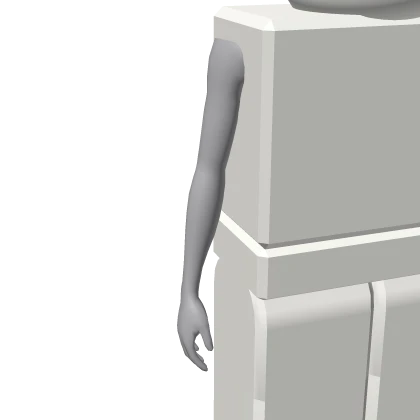 11 - Right Arm | Roblox Item - Rolimon's