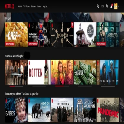 Netflix TV Home Screen
