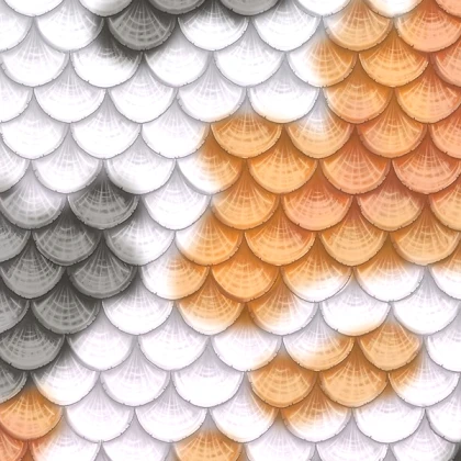 koi fish scale