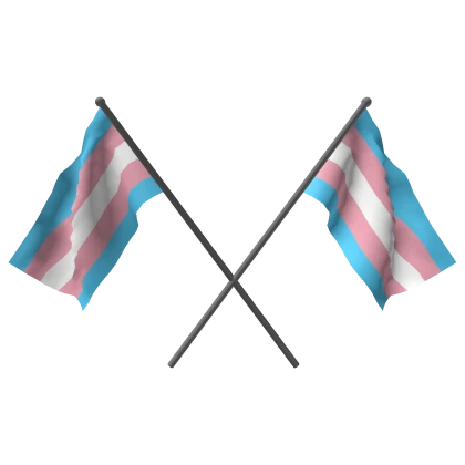 Dual Trans Pride Flags | Roblox Item - Rolimon's