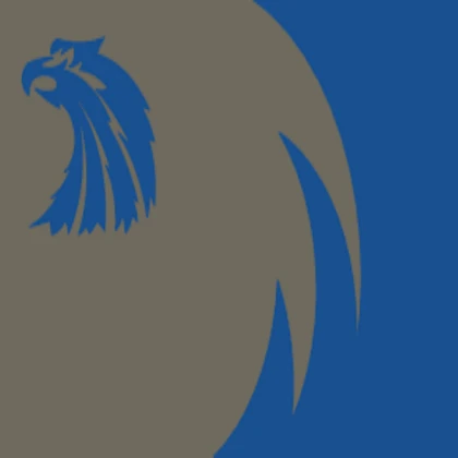 mercenary flag