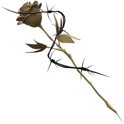 Gold & Black Rose | Roblox Item - Rolimon's