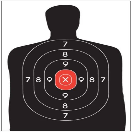 Paper Target