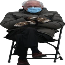 Bernie Sitting