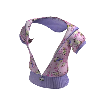 Girly Vintage Funky Zip up | Purple & Pink | Roblox Item - Rolimon's