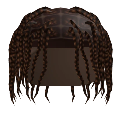 Brown Box Braided Hair | Roblox Item - Rolimon's