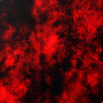 Scp 035 tentacles texture