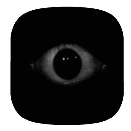 Ojo - Roblox
