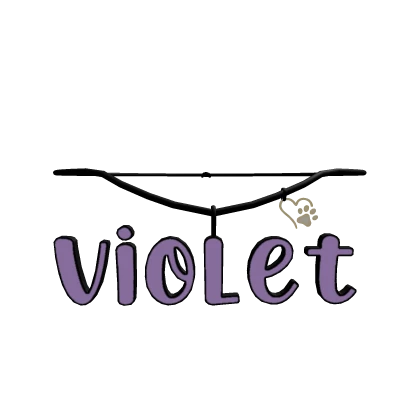 ʚ violet 1.0 ♡ ɞ | Roblox Item - Rolimon's
