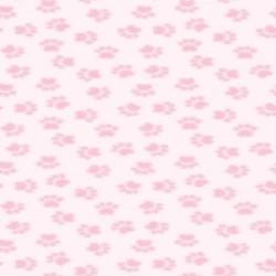 cutecore paws ε(_´･ω･)з