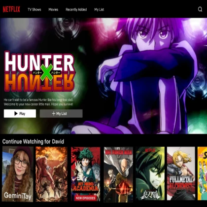 davids netflix