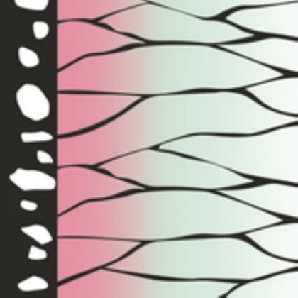 Shinobu Haori Pattern