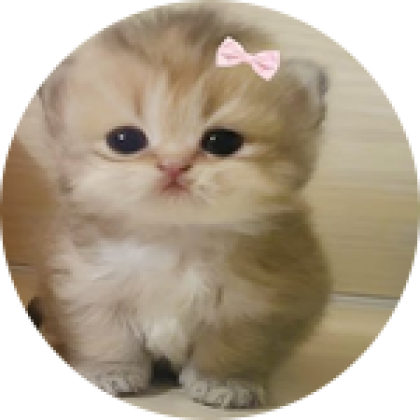 cute cat - Roblox