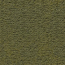 Backrooms Carpet/Floor Texture