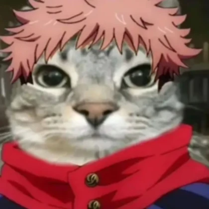 yuji cat