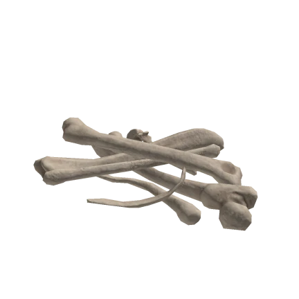 Asset Preview