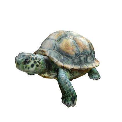 Cute Turtle Left Shoulder Pet | Roblox Item - Rolimon's