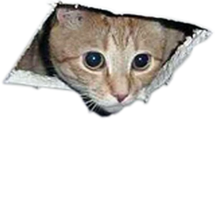 Ceiling Cat