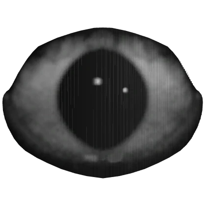 [Animated] Scary Eye | Roblox Item - Rolimon's