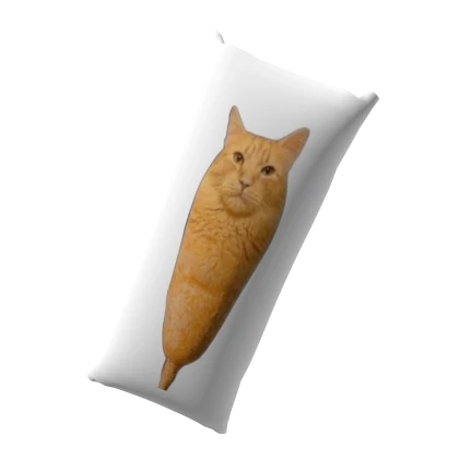 corndog cat