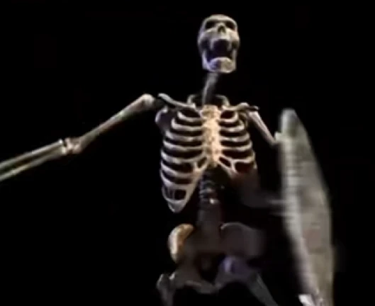 RAAH Skeleton Tower - Roblox