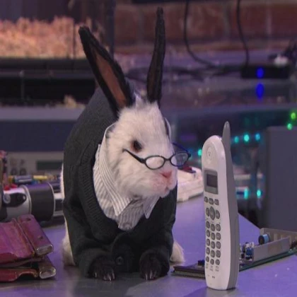 Dr Colosso on the phone