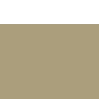 Chevlon_Camion_Template_Front