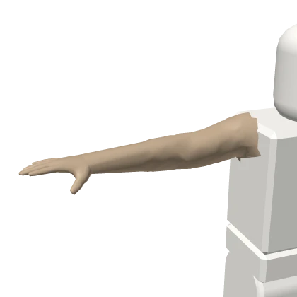 Rick Grimes - Right Arm | Roblox Item - Rolimon's