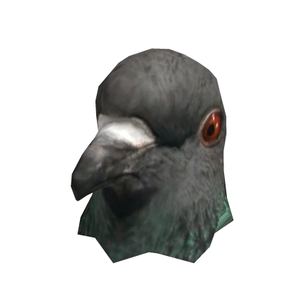 Pigeon Bird Avatar - Roblox