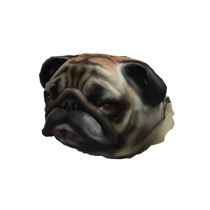 ugly pug