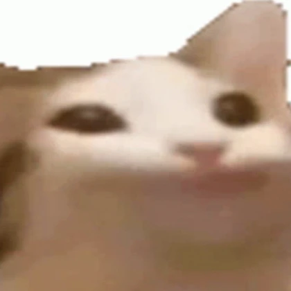 Pop cat meme