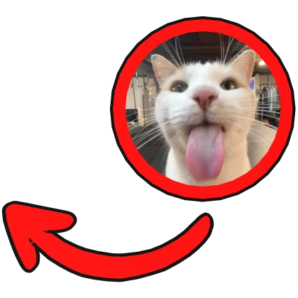 bleh cat red meme circle | Roblox Item - Rolimon's