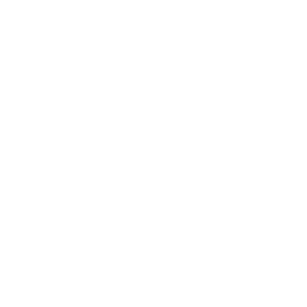 Asset Preview