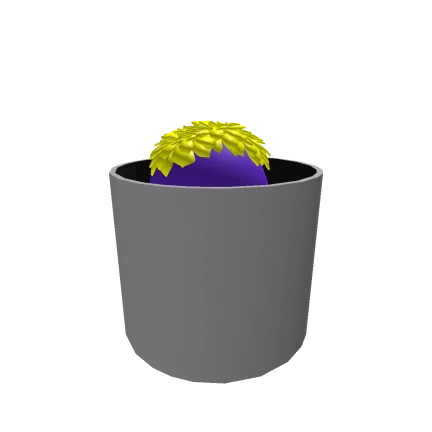 Asset Preview