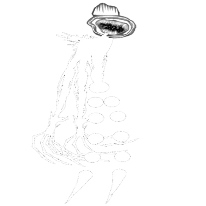 Admin Omniversal devourer